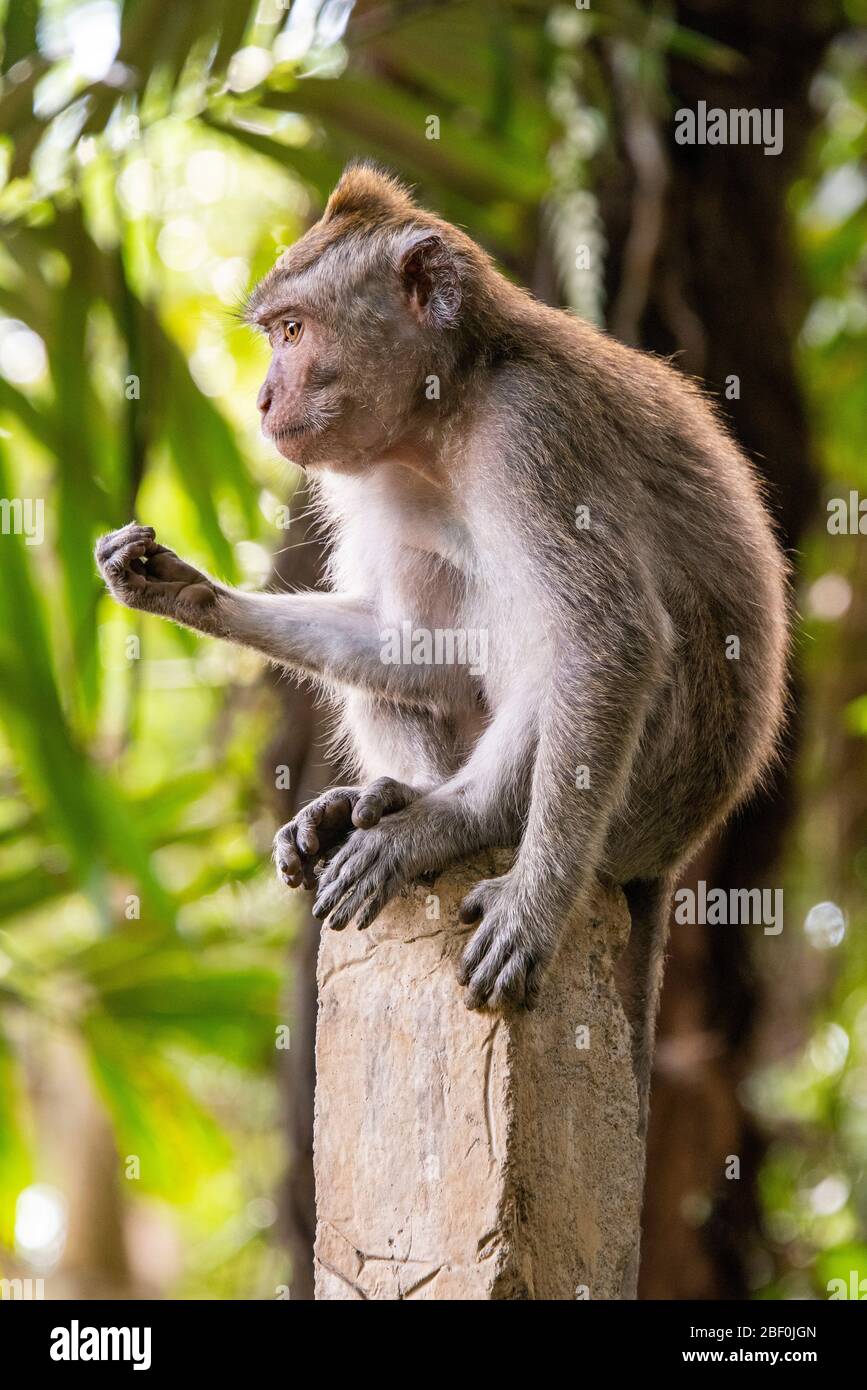 Sneaky view hi-res stock photography and images - Alamy