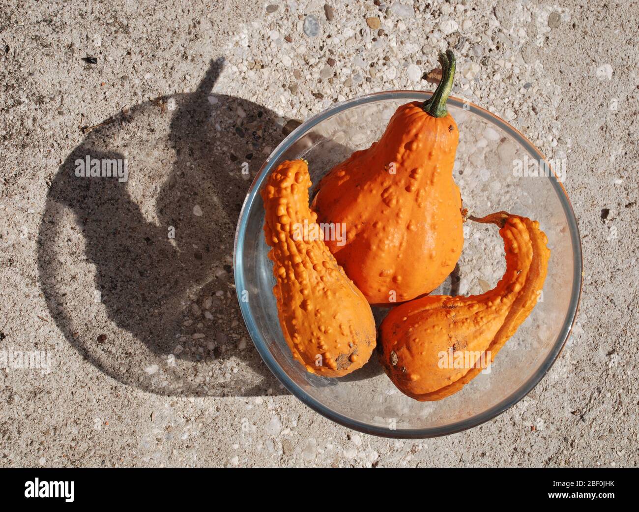 Knobbly vegetables hi-res stock photography and images - Alamy