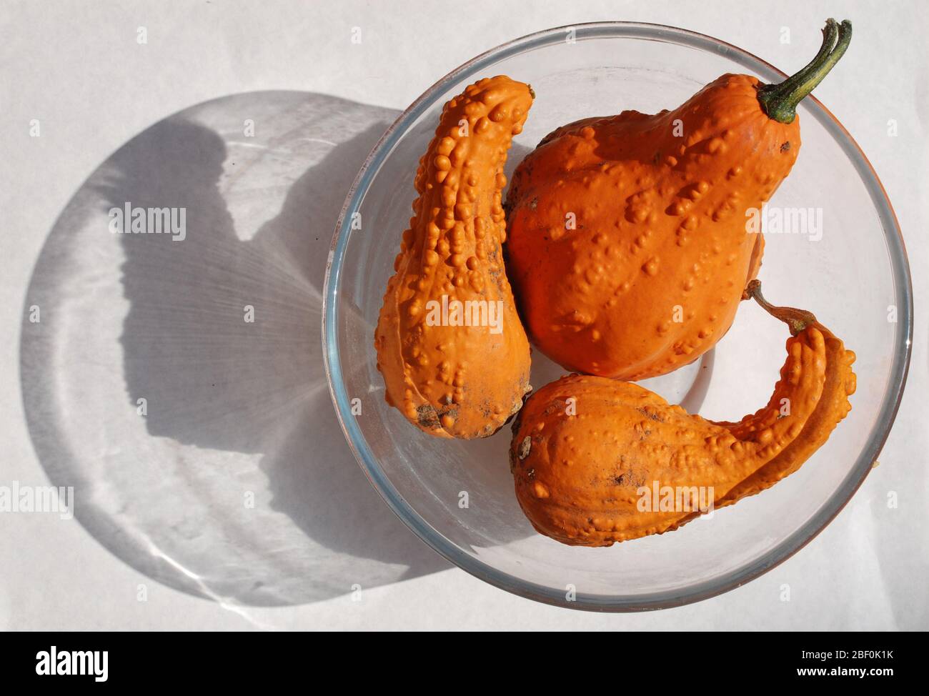 Knobbly vegetables hi-res stock photography and images - Alamy