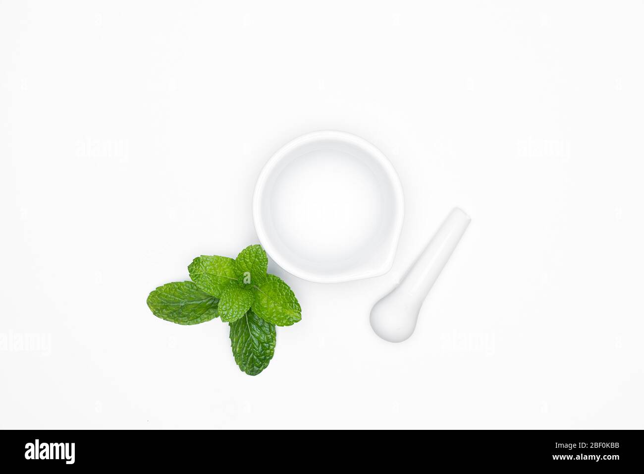 Mortar Grinder drugs with fresh herbs - Mints isolated on white ...