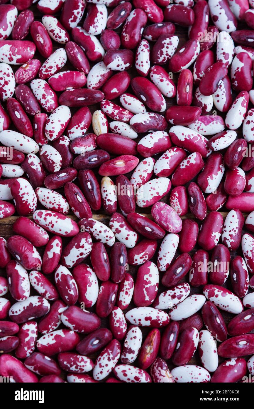 Violet with dots. Background. Swallow beans. Vegetables for healthy ...
