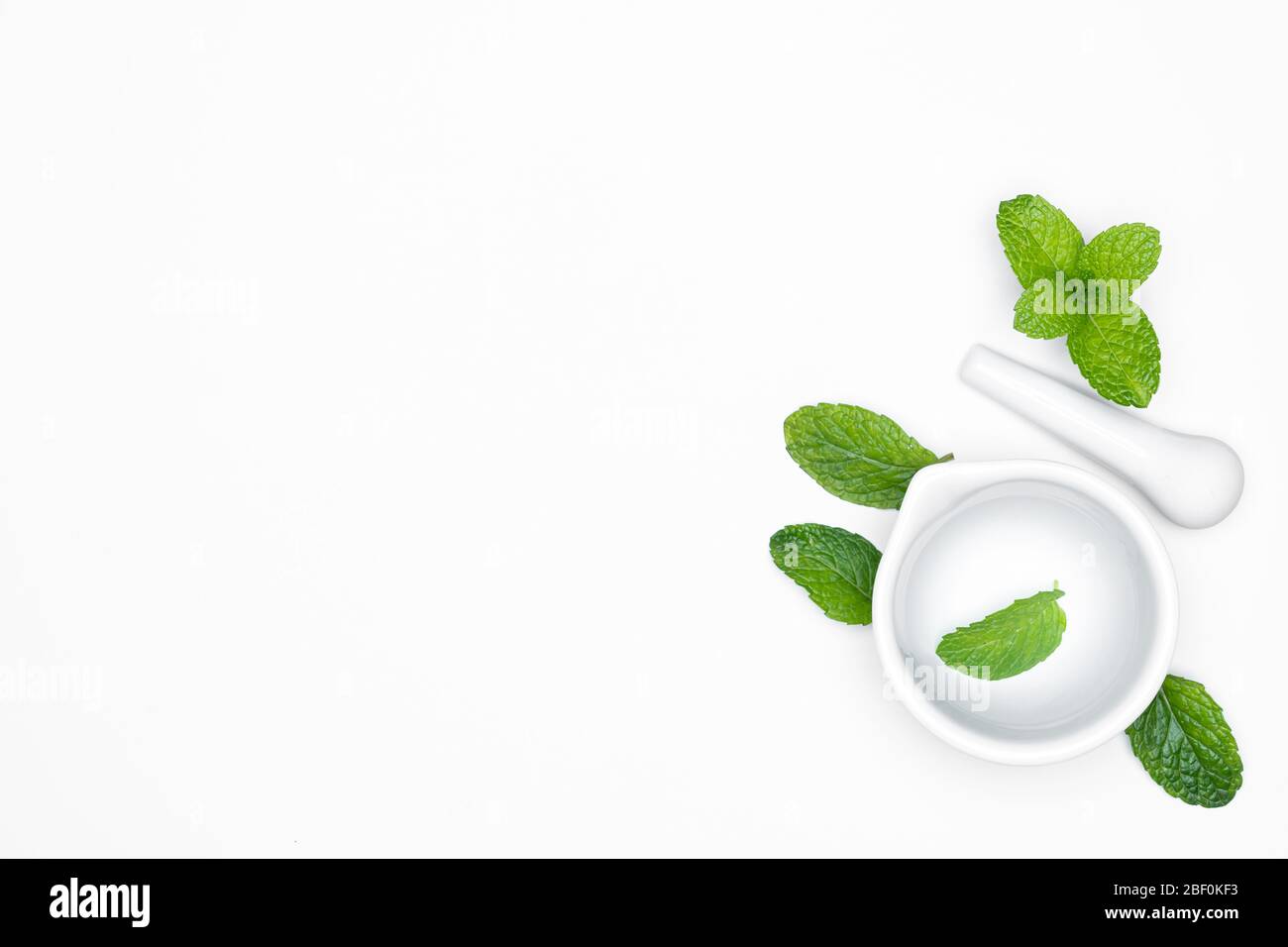 Mortar Grinder drugs with fresh herbs - Mints isolated on white ...