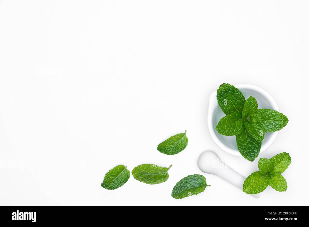 Mortar Grinder drugs with fresh herbs - Mints isolated on white ...