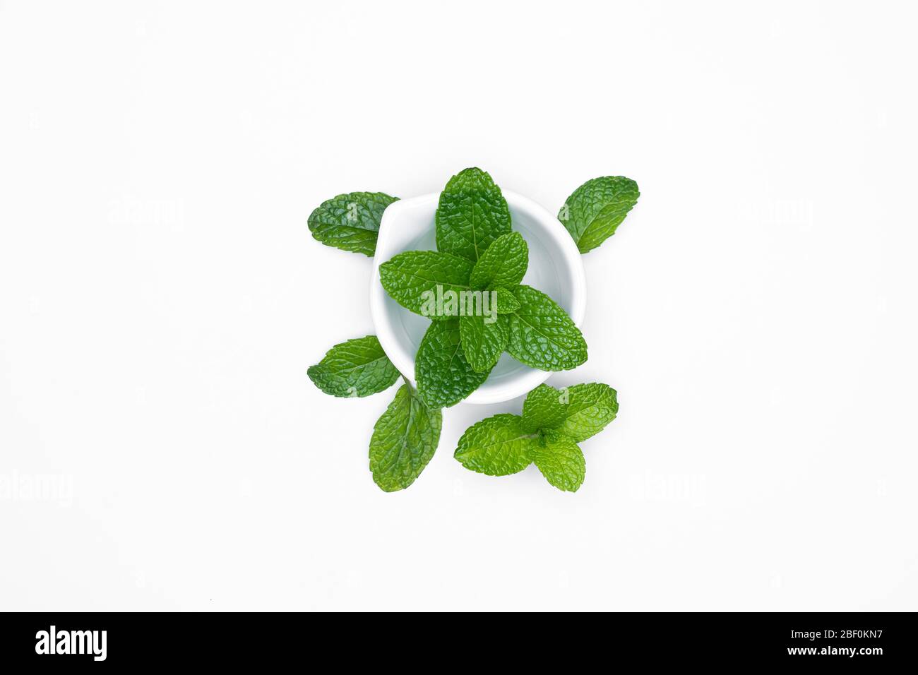 Mortar Grinder drugs with fresh herbs - Mints isolated on white ...