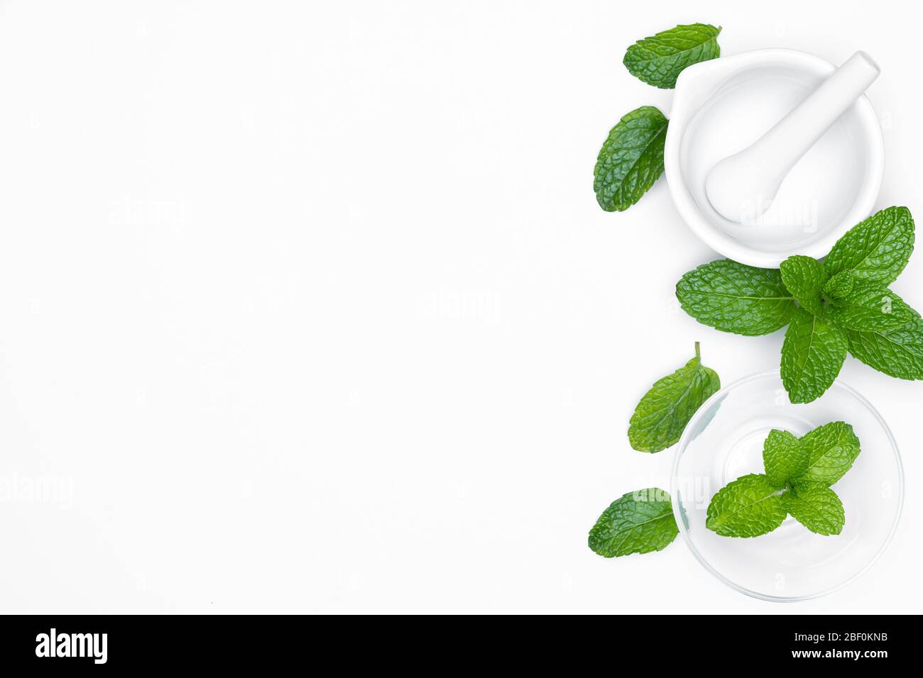 Mortar Grinder drugs with fresh herbs - Mints isolated on white ...