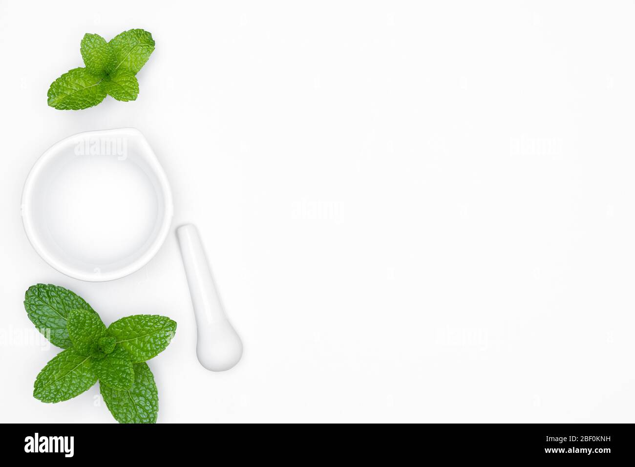 Mortar Grinder drugs with fresh herbs - Mints isolated on white ...