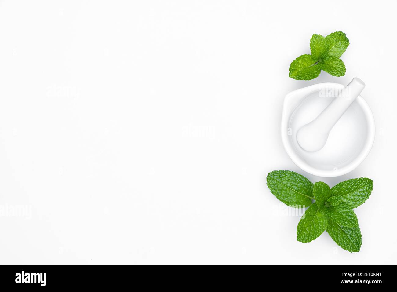 Mortar Grinder drugs with fresh herbs - Mints isolated on white ...