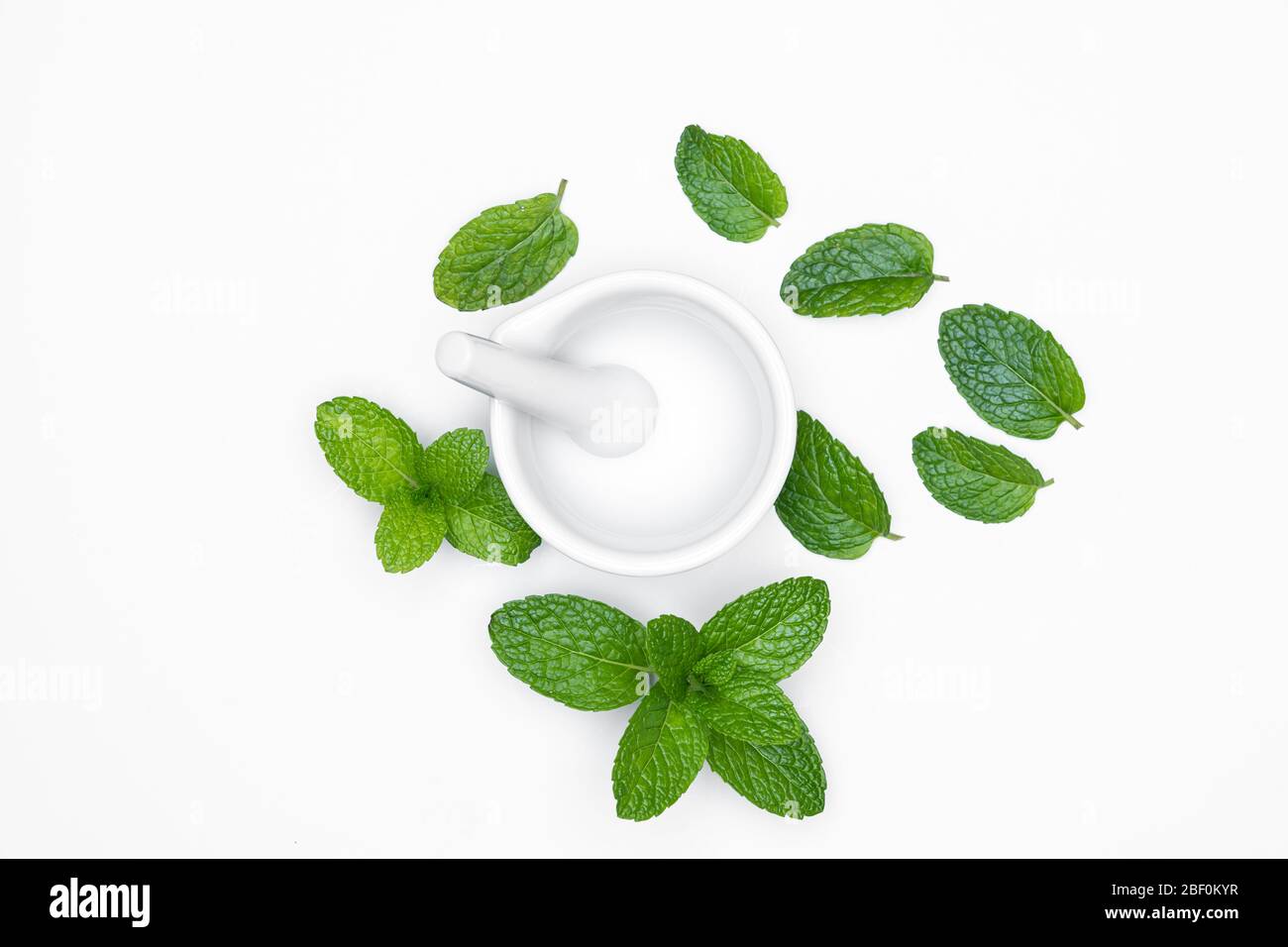 Mortar Grinder drugs with fresh herbs - Mints isolated on white ...