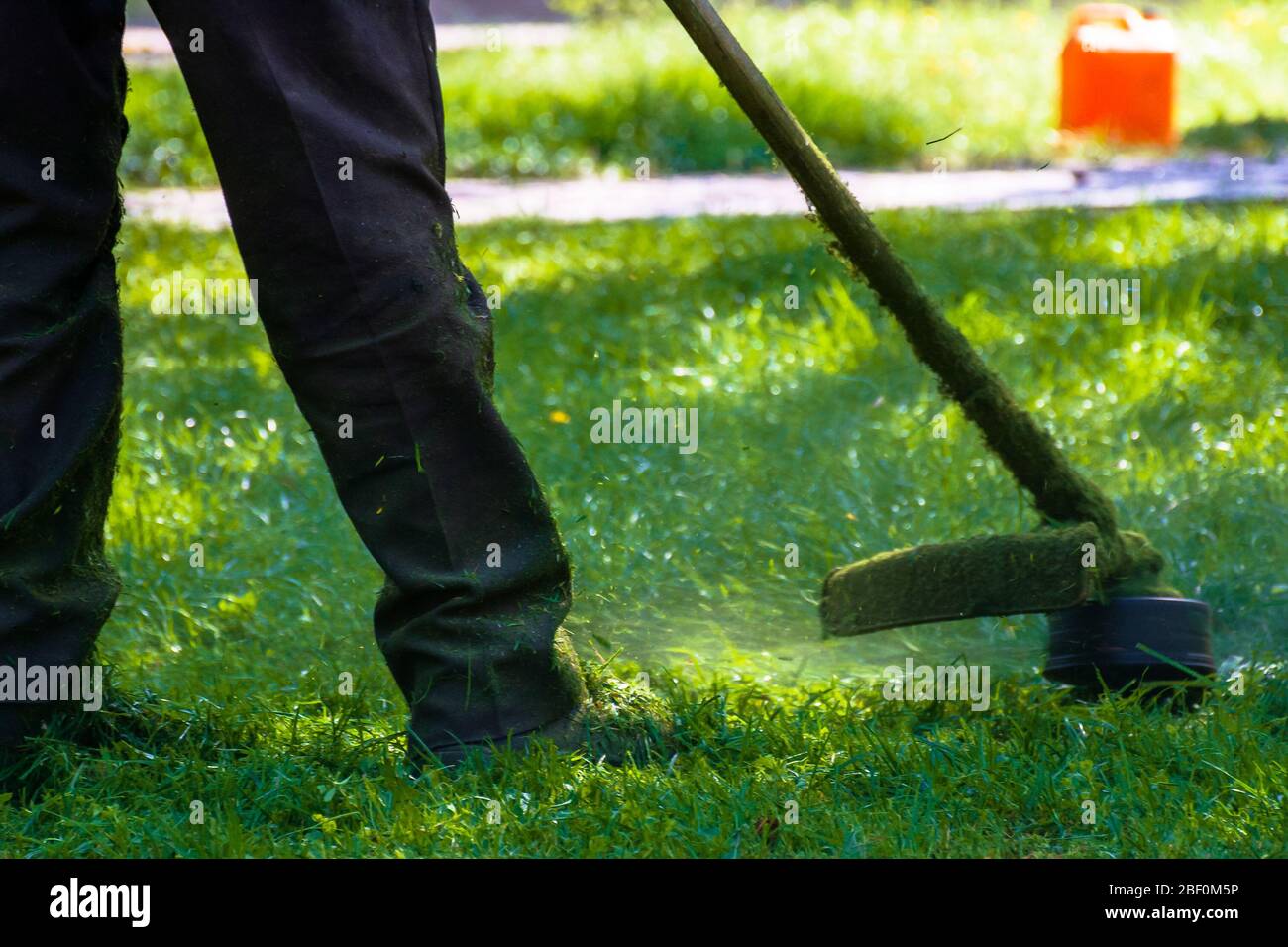 lawn care maintenance. professional grass cutting in the yard Stock ...