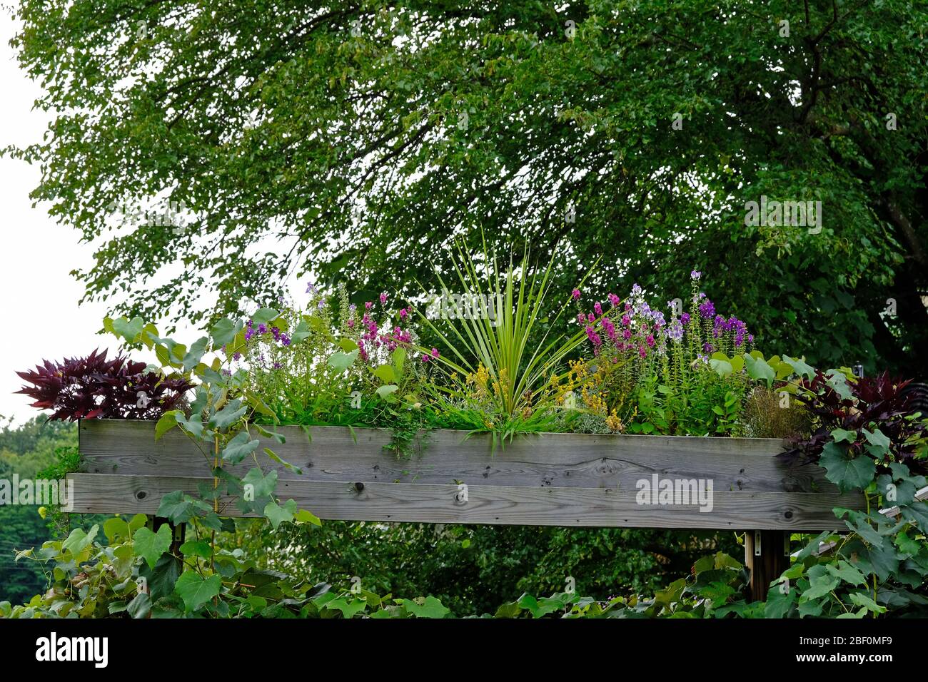 Wooden planter box with wild flowers Stock Photo - Alamy