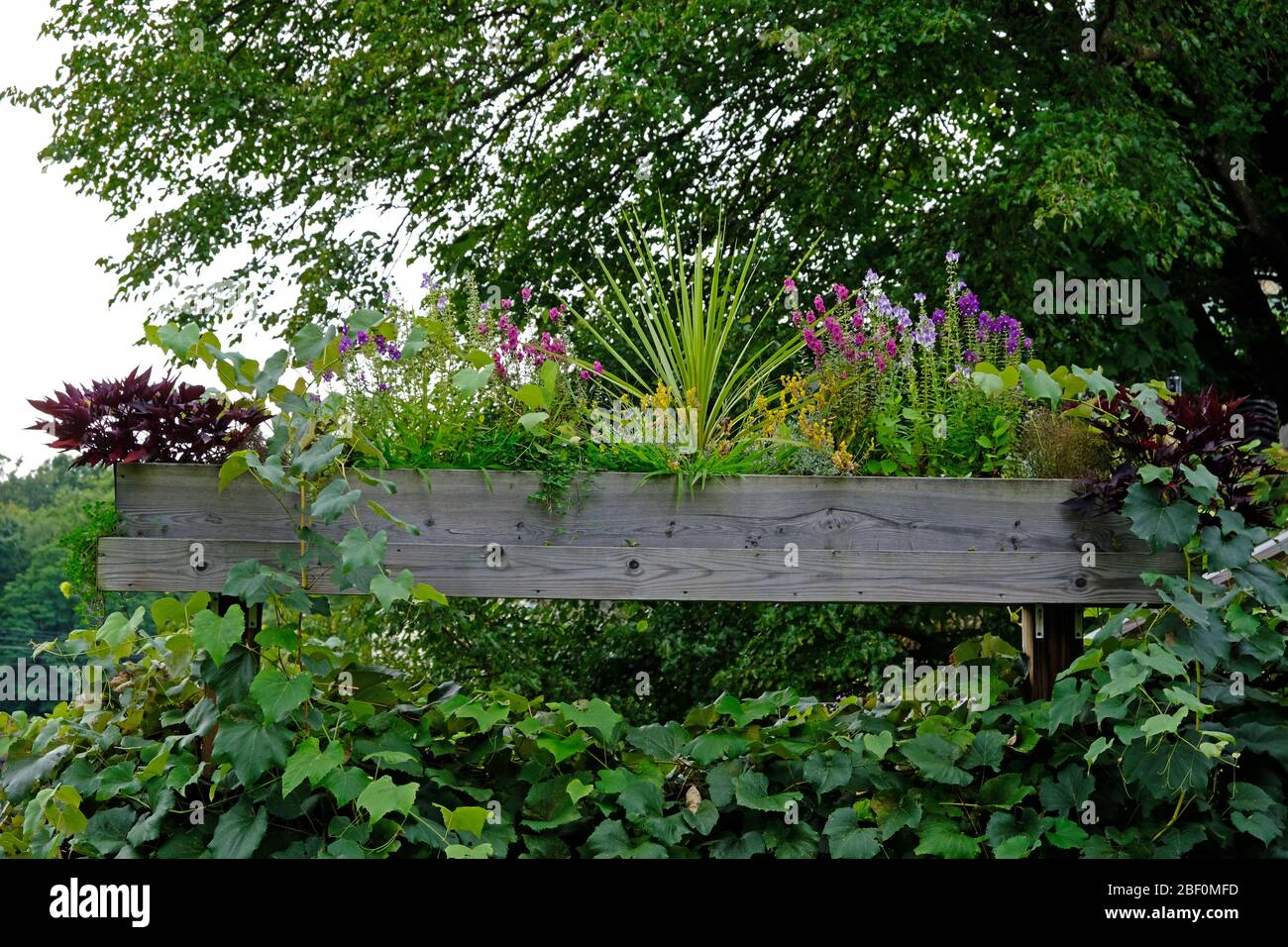 Planter with wildflowers hi-res stock photography and images - Alamy