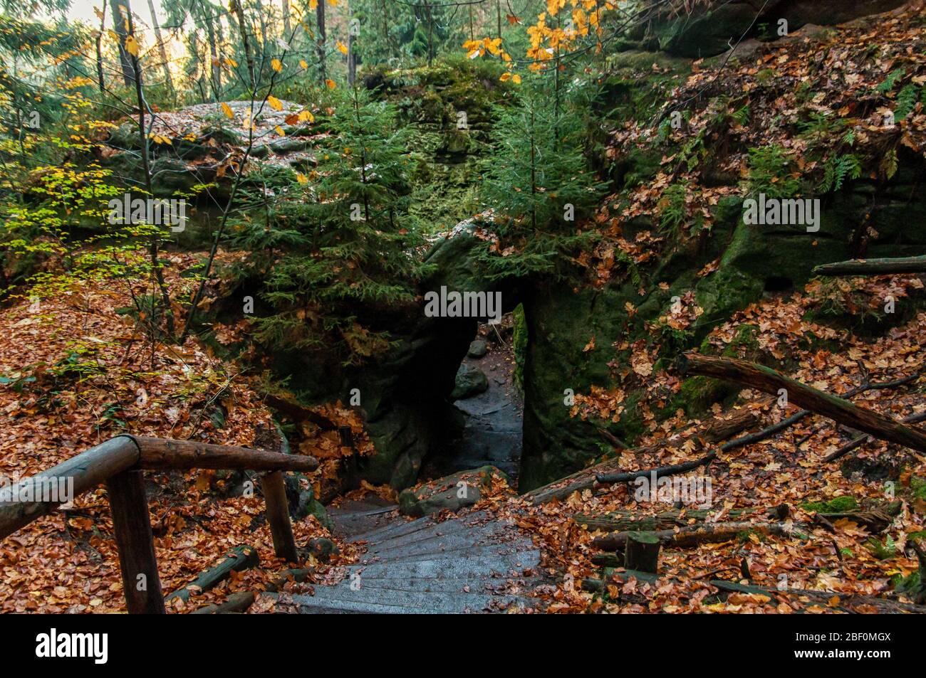 Elbe sandstone highlands hi-res stock photography and images - Alamy
