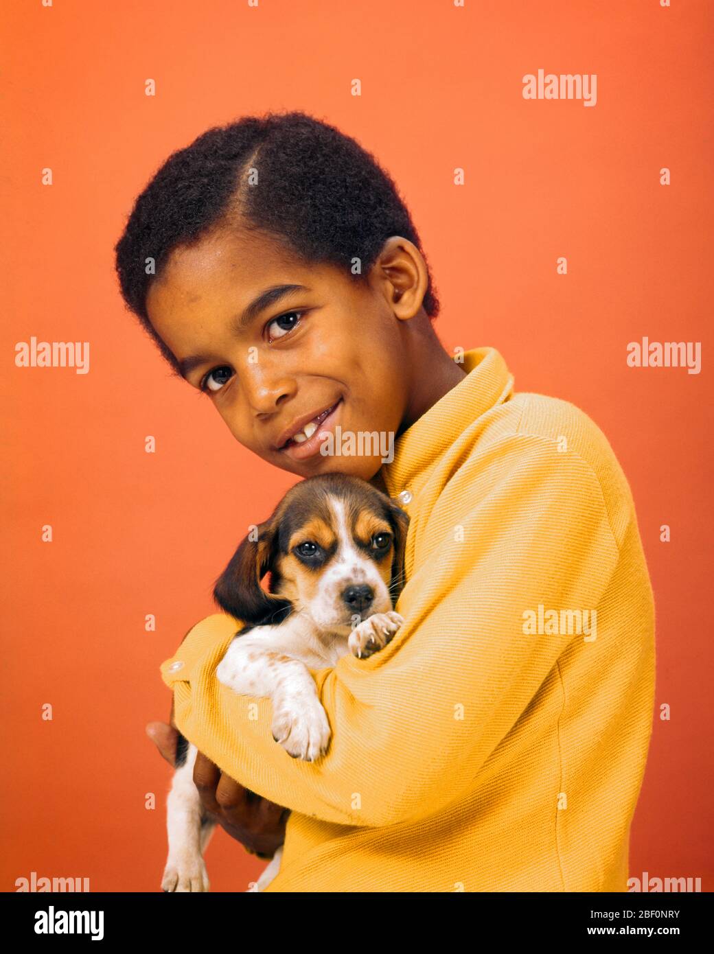 Beagle boys hi-res stock photography and images - Alamy