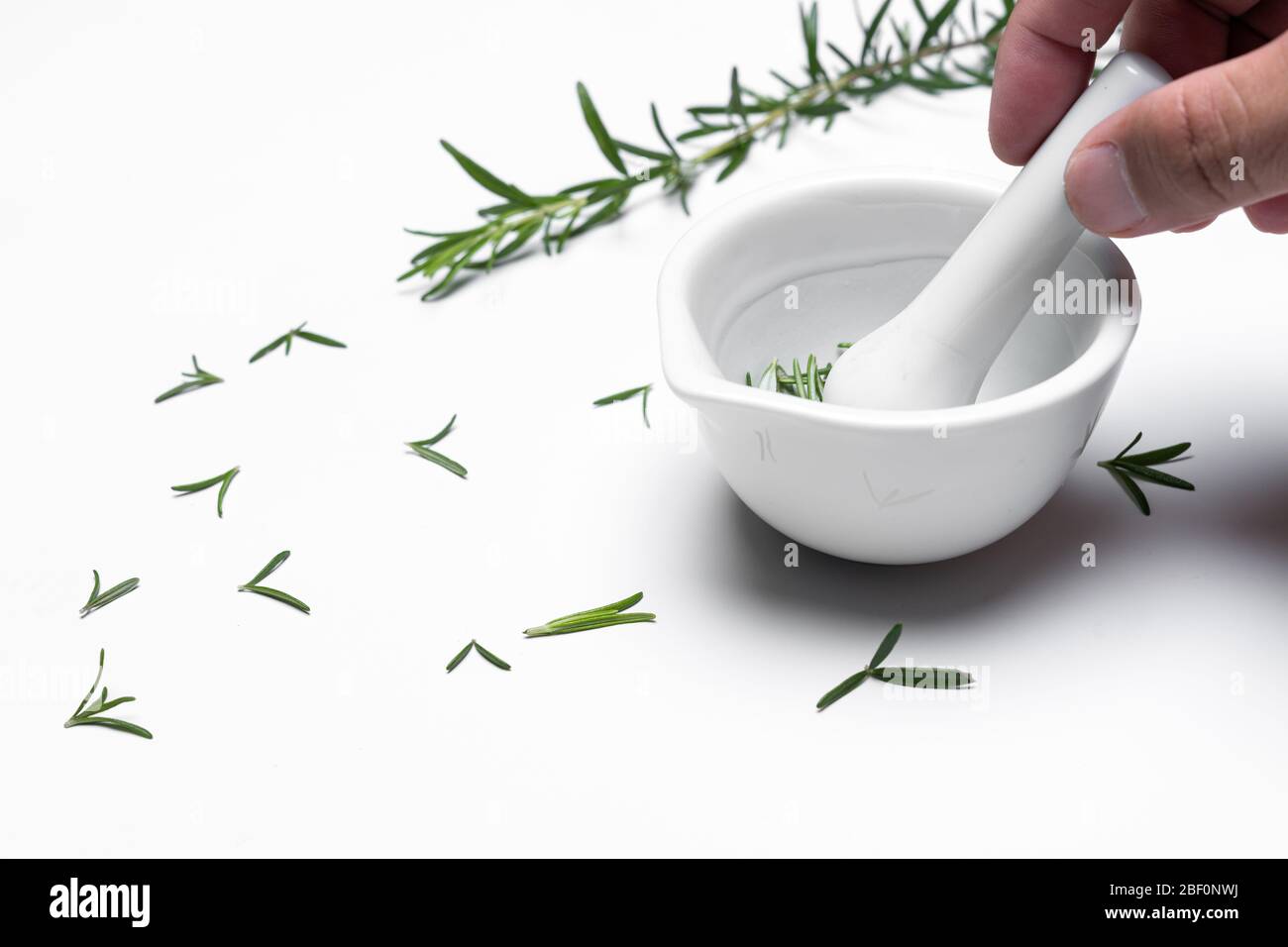 Man hand with mortar grind and herbs isolated on white background. For ...