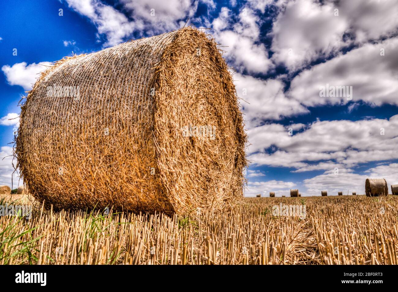 Round bales on a grain field Stock Photo - Alamy