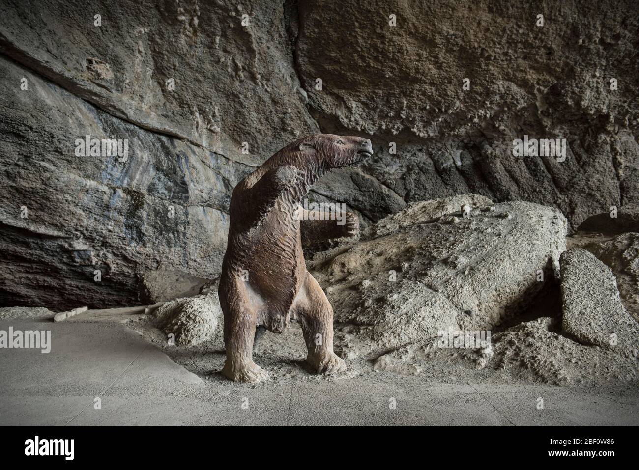 Giant sloth cave hi-res stock photography and images - Alamy