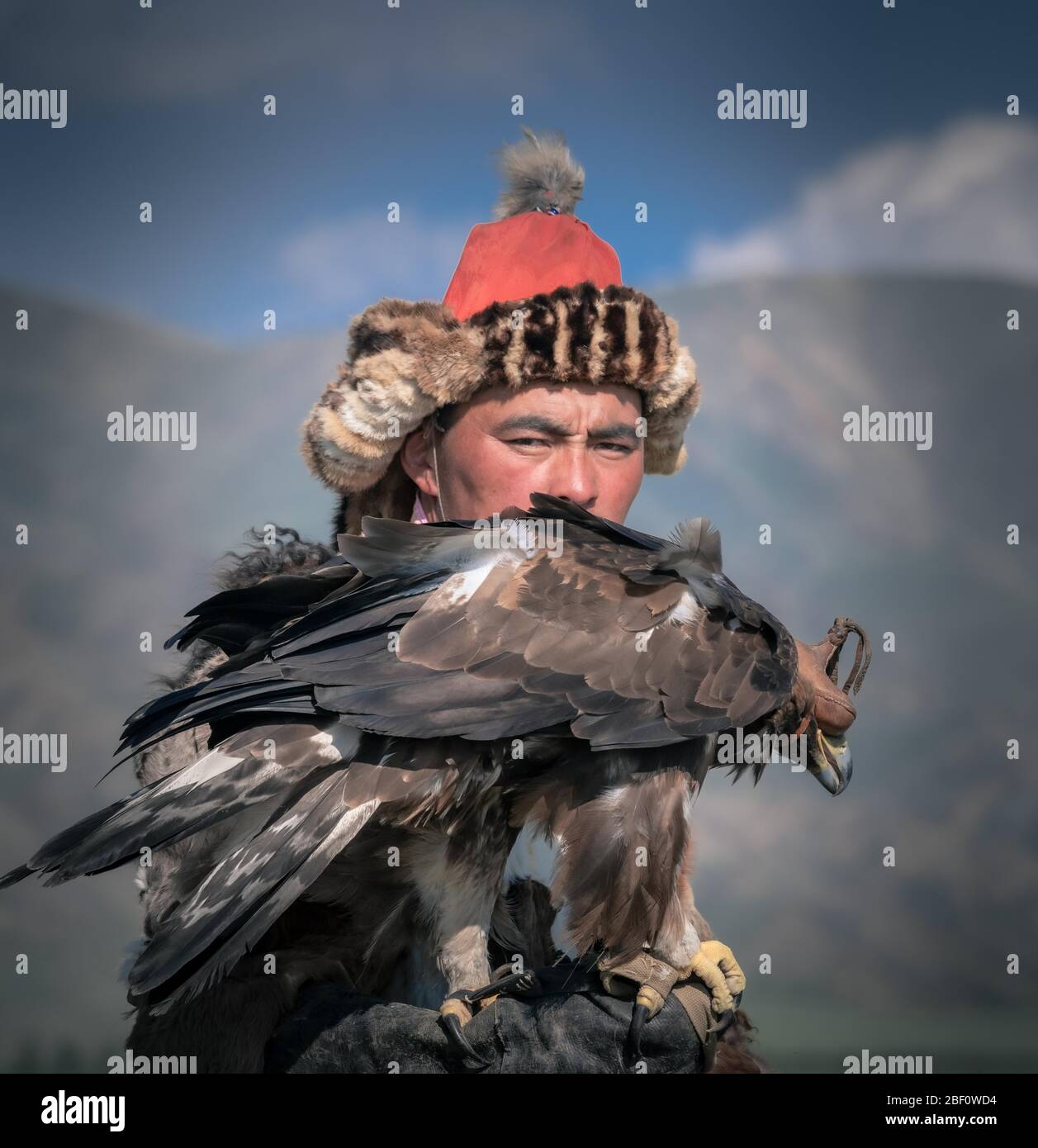 Mongolian eagle hunter, Kazakh with trained eagle, portrait, province ...