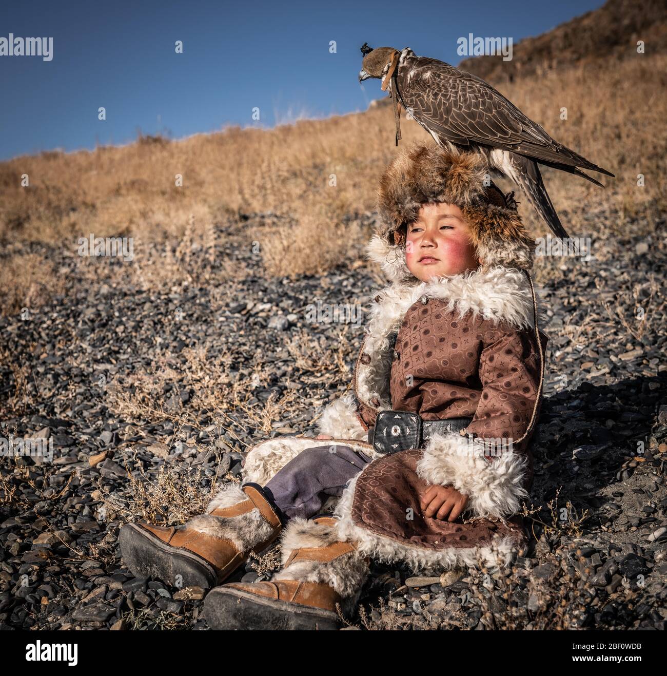 Mongolian falcon hunter, little boy posing with a trained falcon on his ...