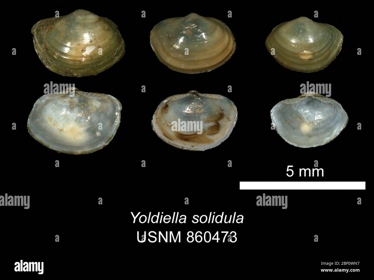 20138 hi-res stock photography and images - Alamy