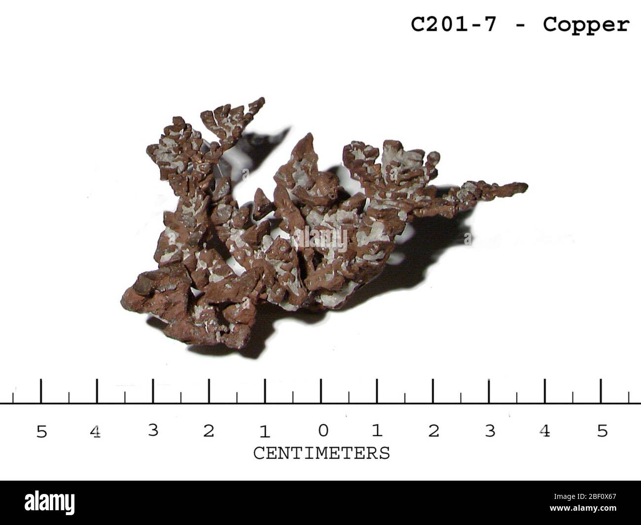 Study copper hi-res stock photography and images - Alamy