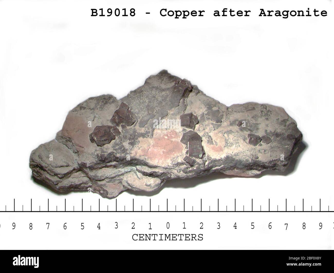 U s mineral management hi-res stock photography and images - Alamy