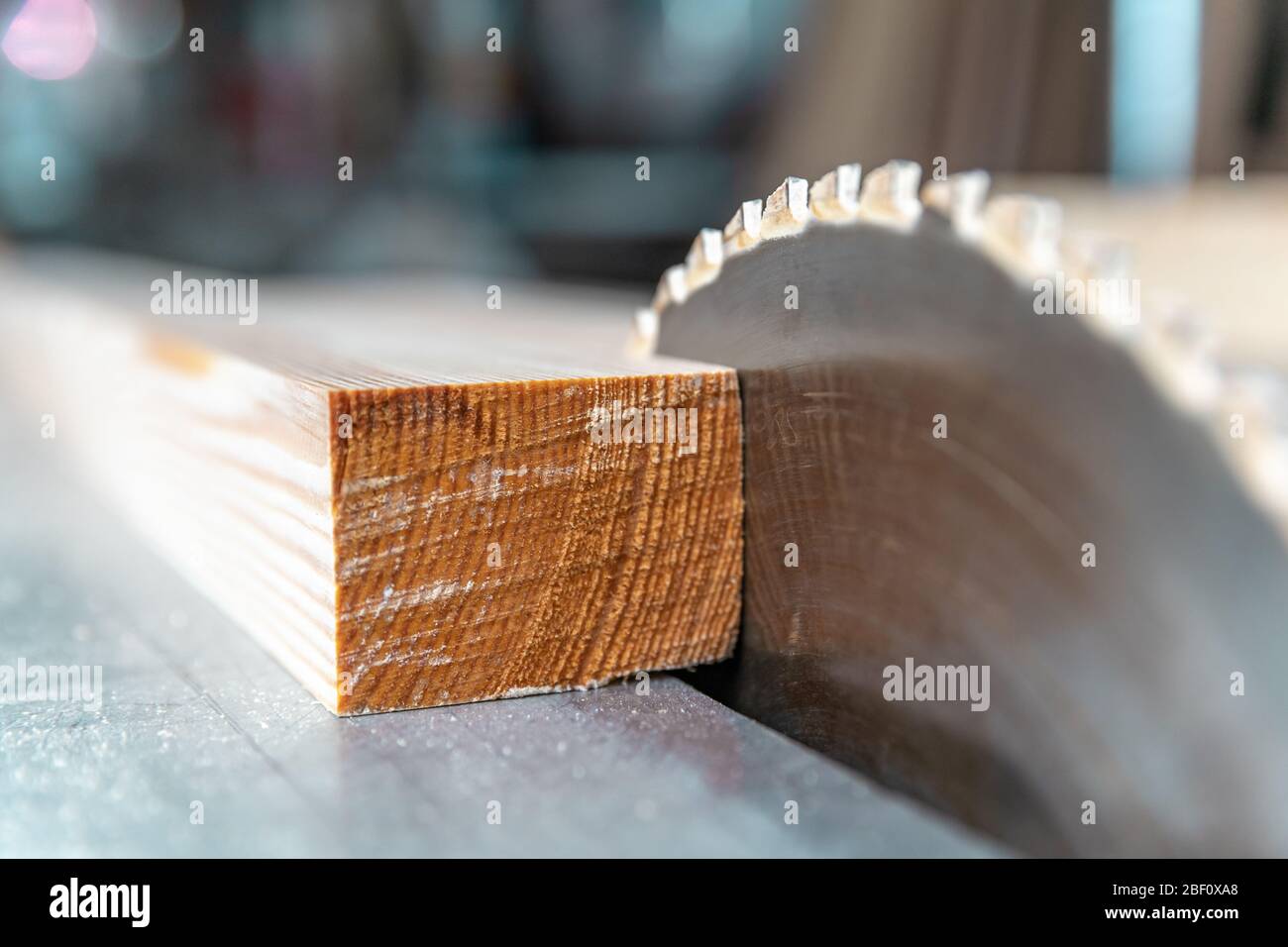 toothed metal blade on circular saw in joinery Stock Photo - Alamy
