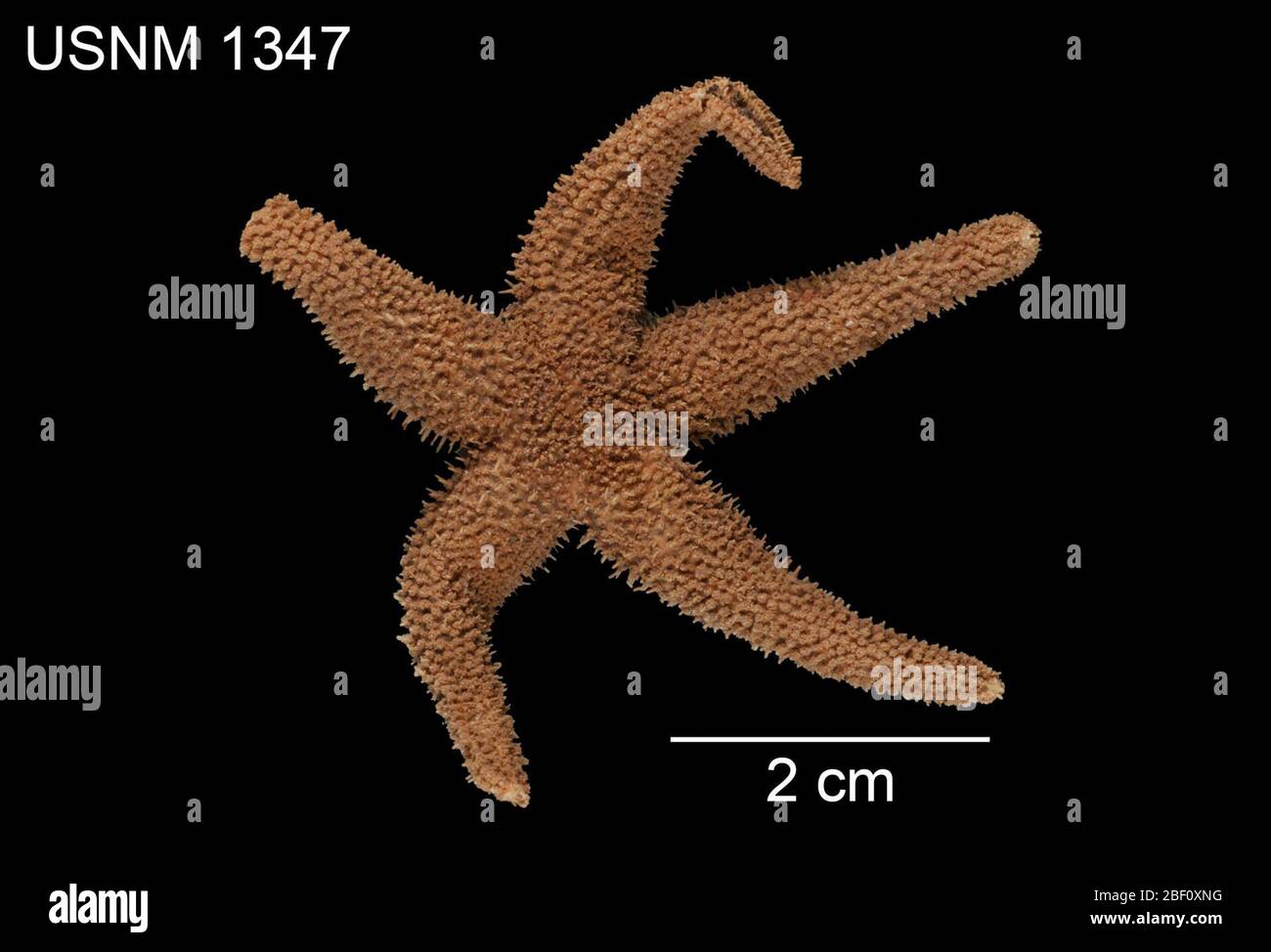 Compta hi-res stock photography and images - Alamy