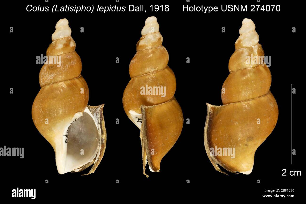 Department of natural history growth hi-res stock photography and ...