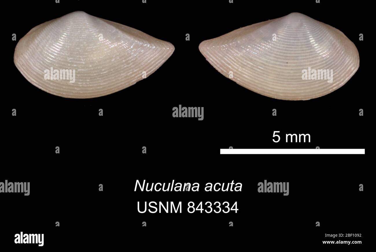 20181210 hi-res stock photography and images - Alamy