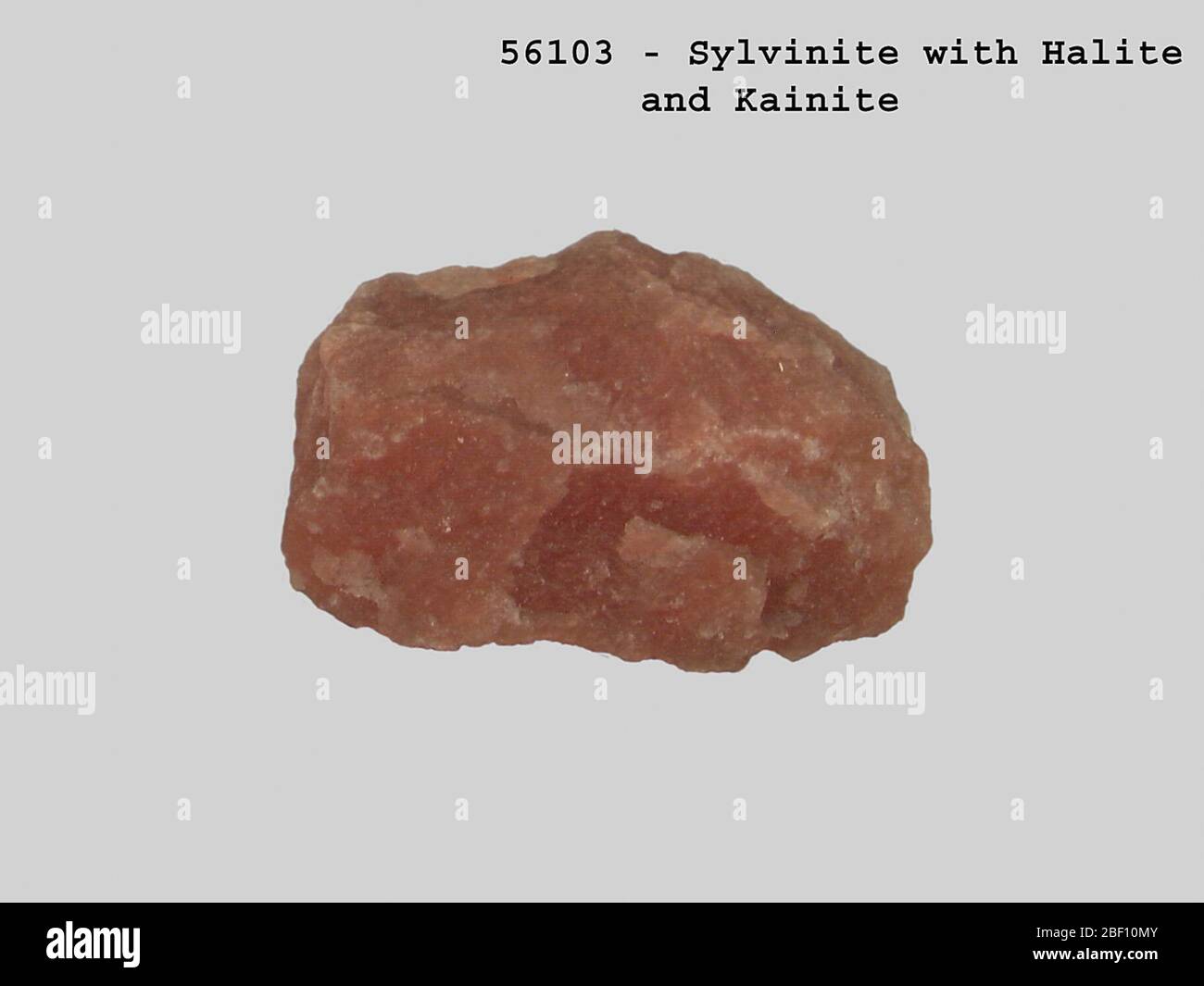Sylvite hi-res stock photography and images - Alamy