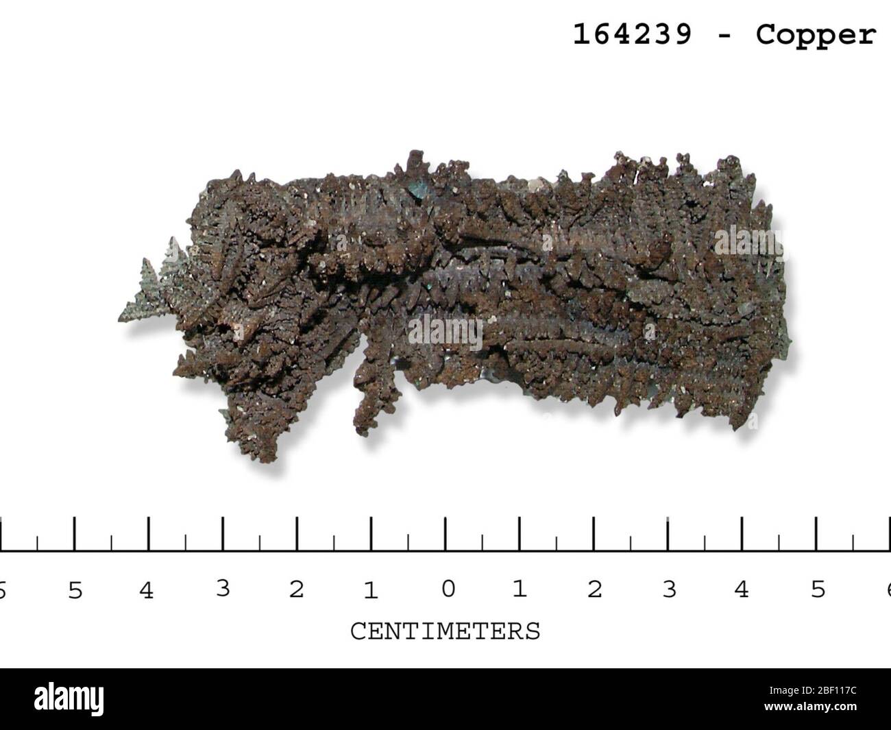 Jul 2 Cut Out Stock Images & Pictures - Alamy