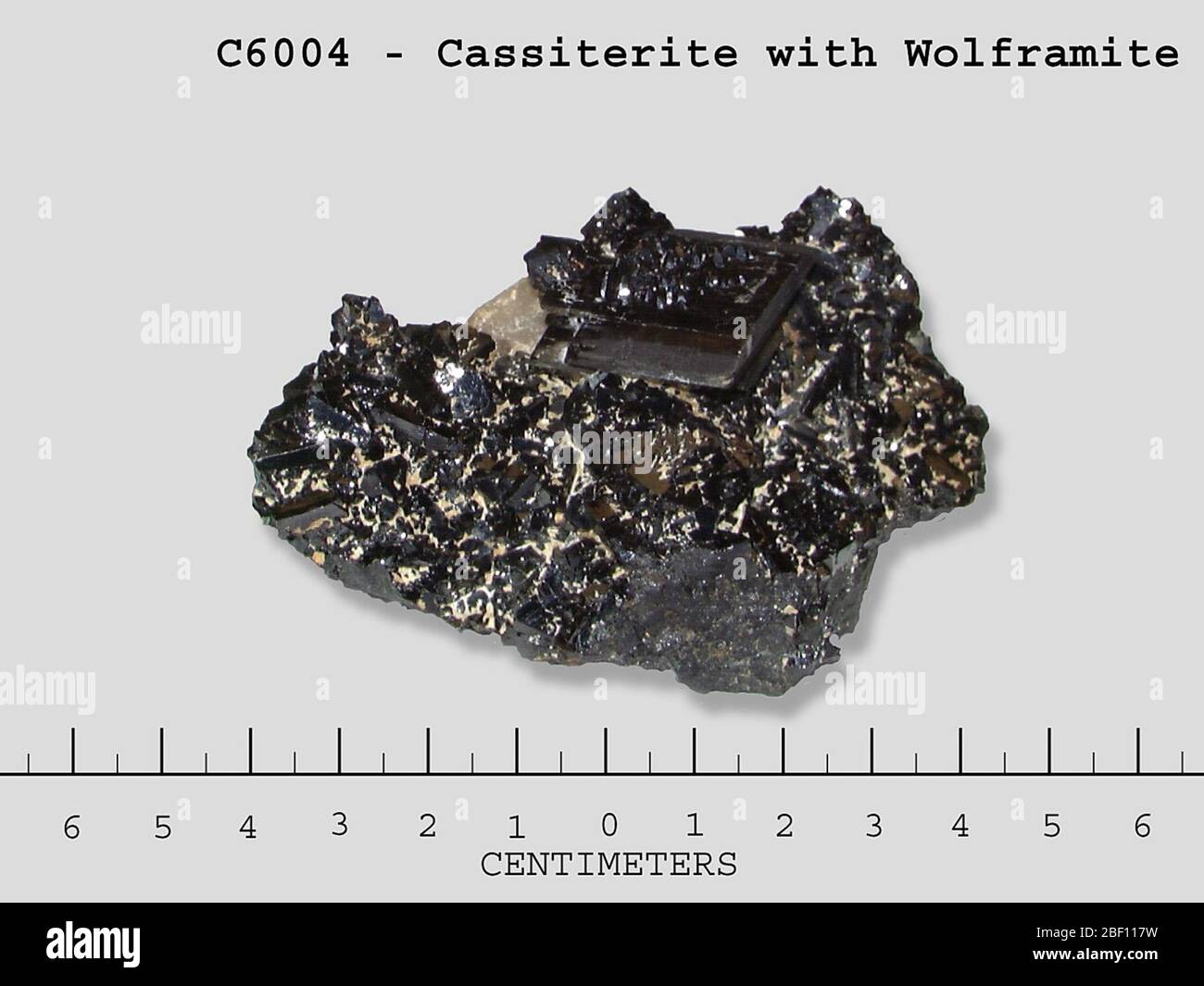 Wolframite hi-res stock photography and images - Alamy