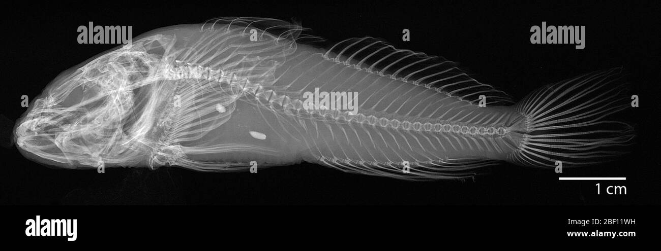 20149 hi-res stock photography and images - Alamy