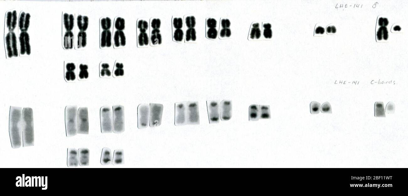 Isothrix hi-res stock photography and images - Alamy