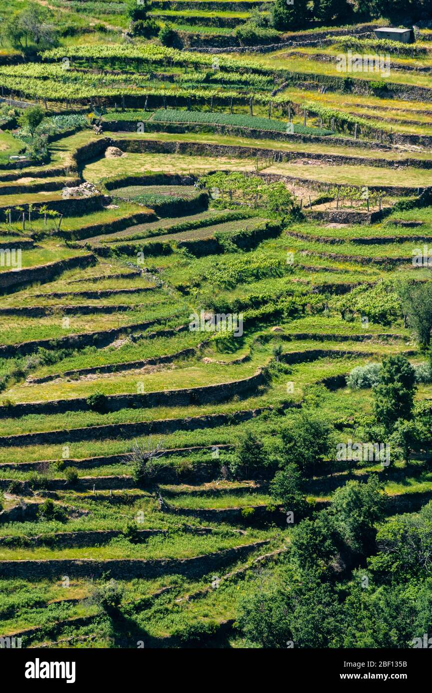 Viewpoint of the Terraces (Miradouro dos Socalcos), overlooking the ...