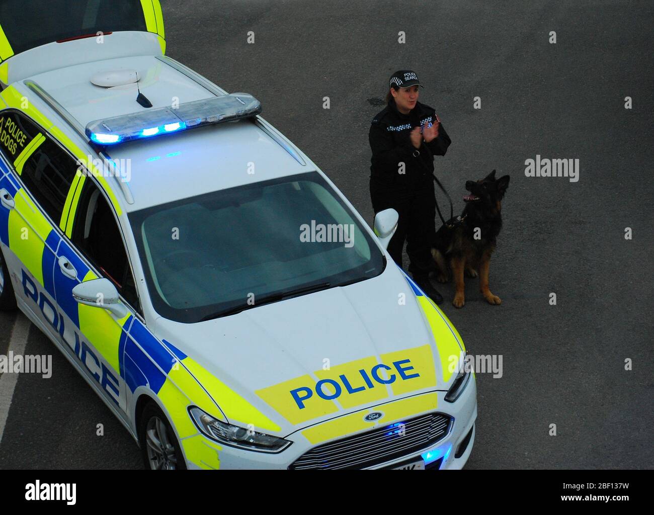 Reppic police dog hi-res stock photography and images - Alamy
