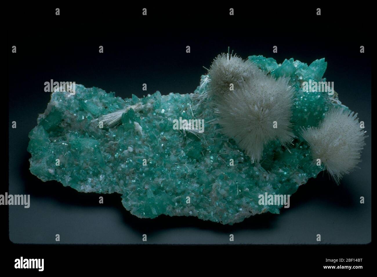 Photograph of mesolite with apophyllite (145166) from the National ...