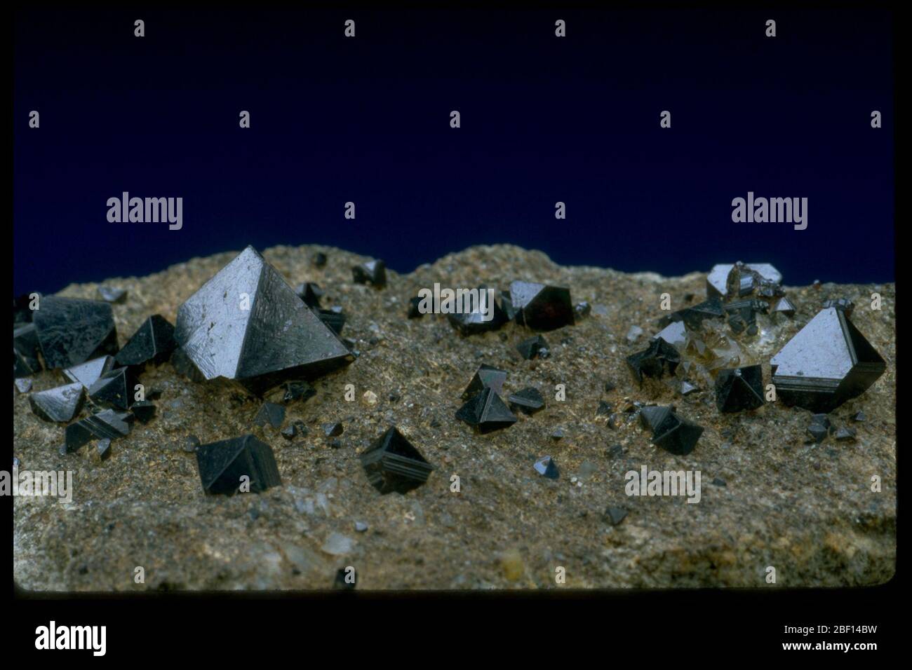 Photograph of octahedral magnetite crystals (B10614) from the National ...