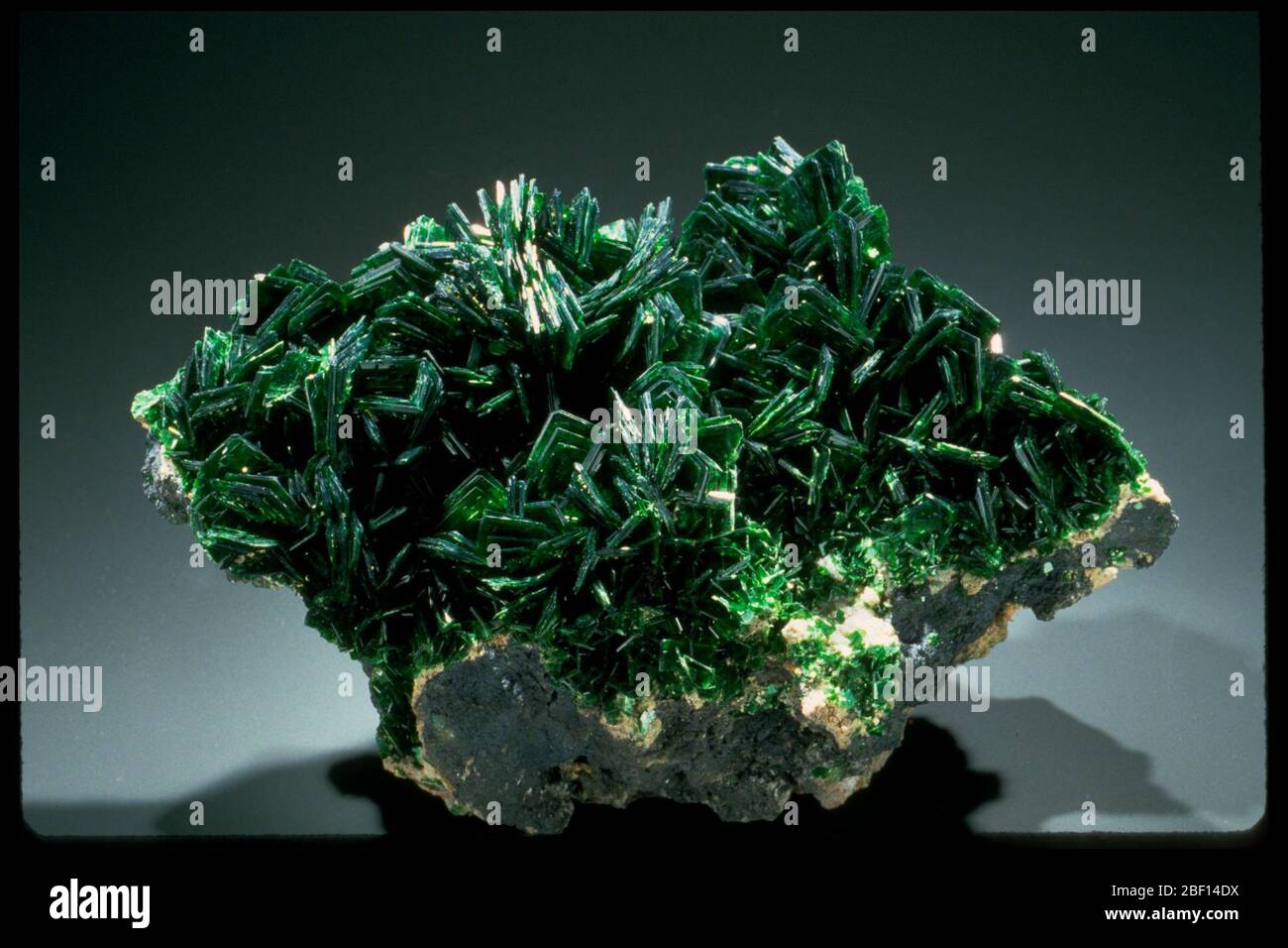 Metatorbernite hi-res stock photography and images - Alamy