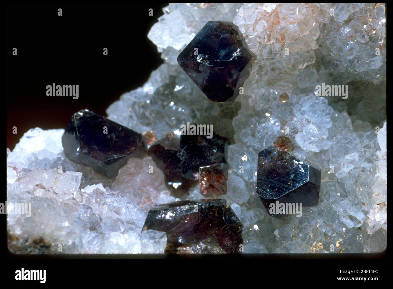 Photograph of scorodite (120249) from the National Mineral Collection ...