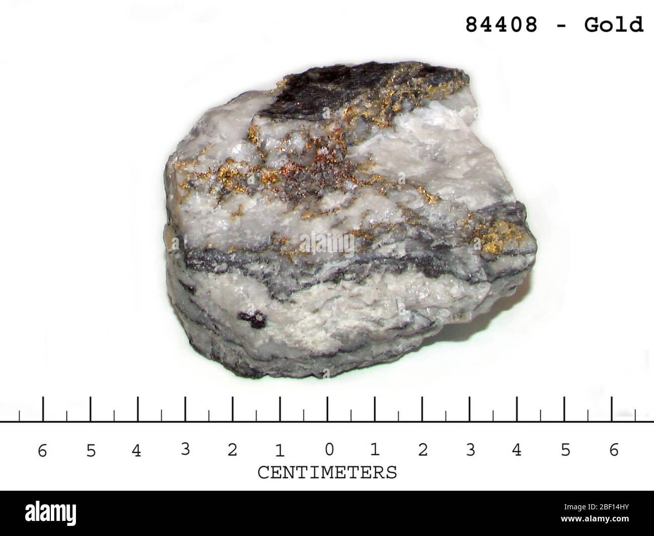 Gold 1 Cut Out Stock Images & Pictures - Alamy