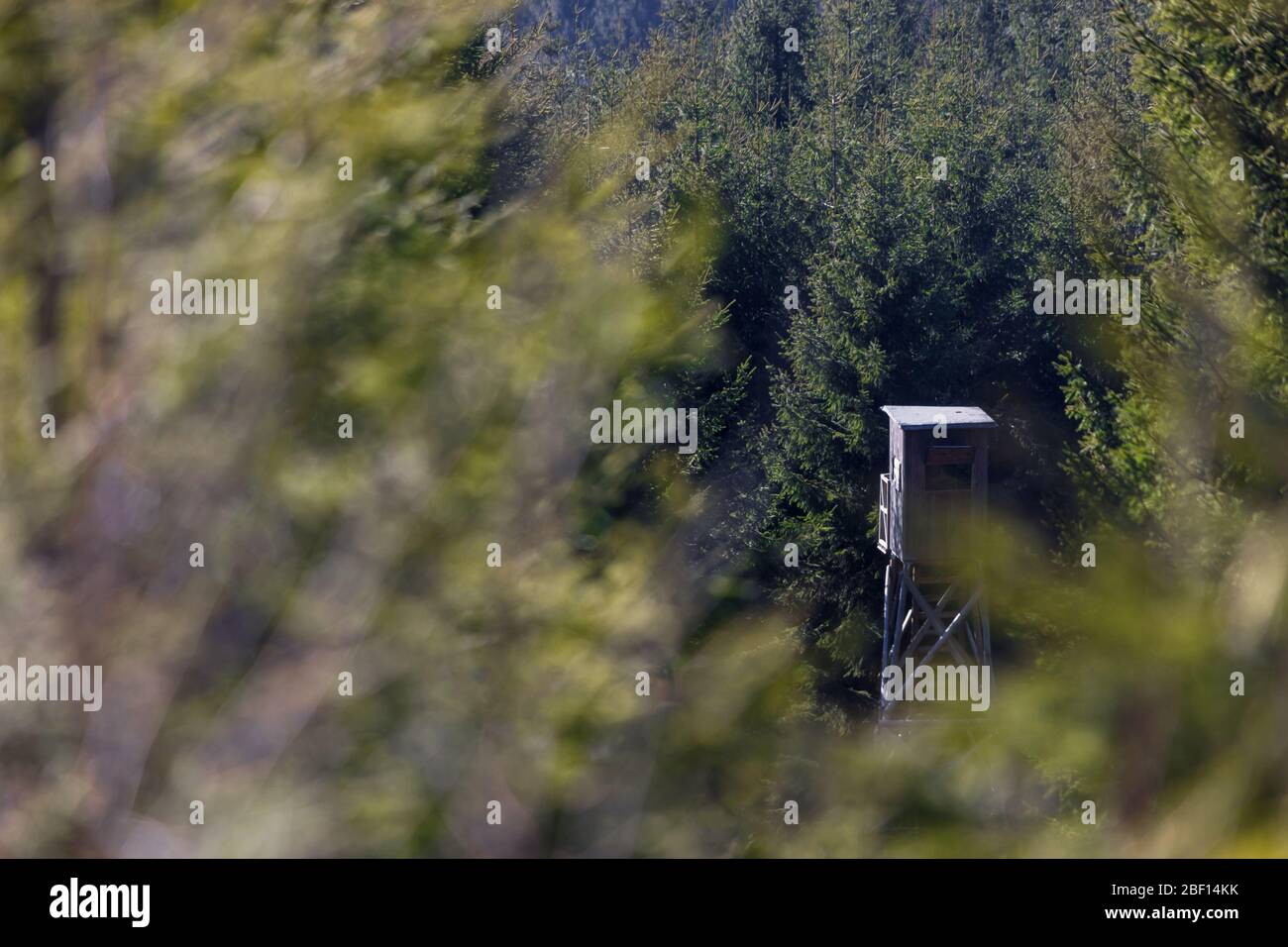 Perch hunters hi-res stock photography and images - Alamy