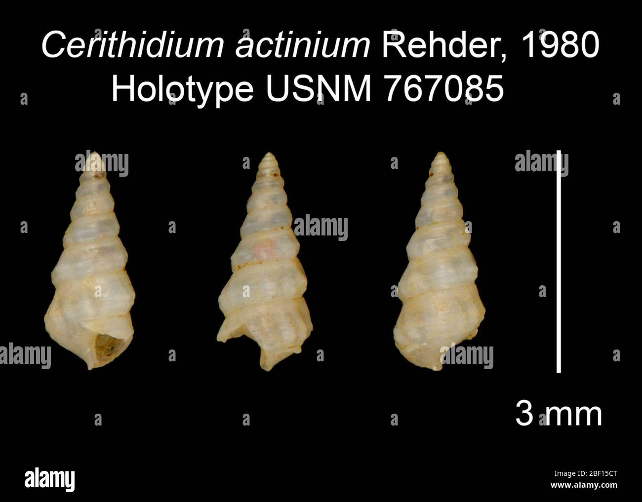 Actinium hi-res stock photography and images - Alamy