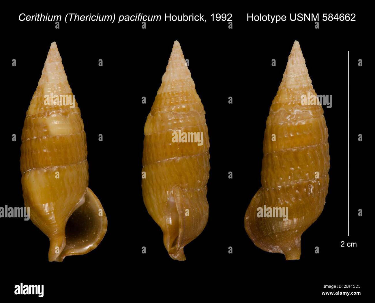 2016s hi-res stock photography and images - Alamy