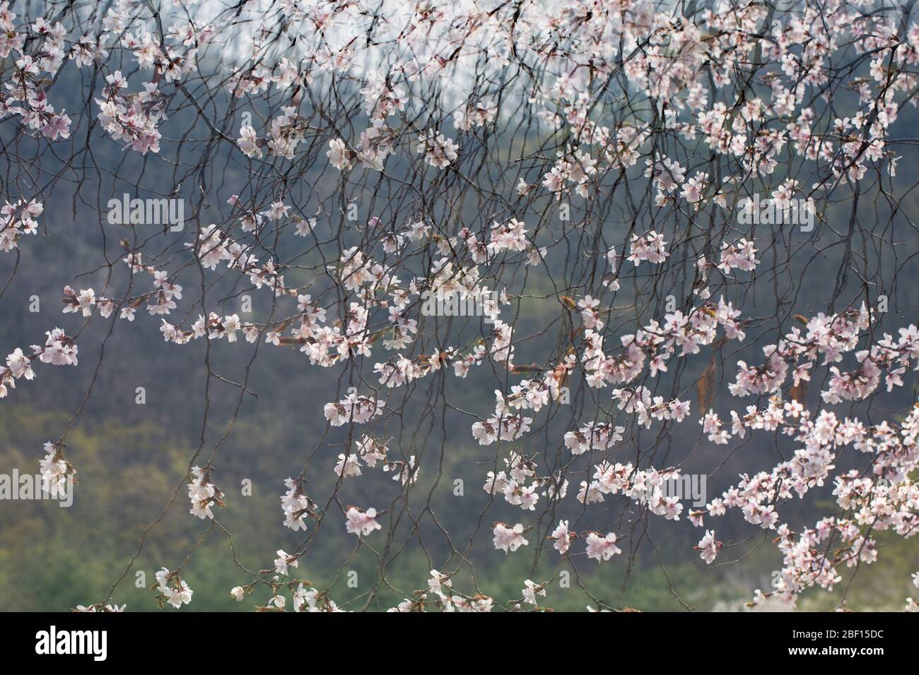 Multiple shot hi-res stock photography and images - Alamy