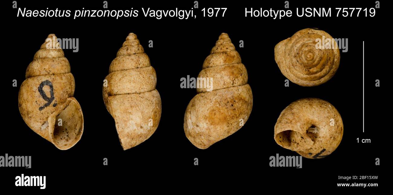 6 apr hi-res stock photography and images - Alamy