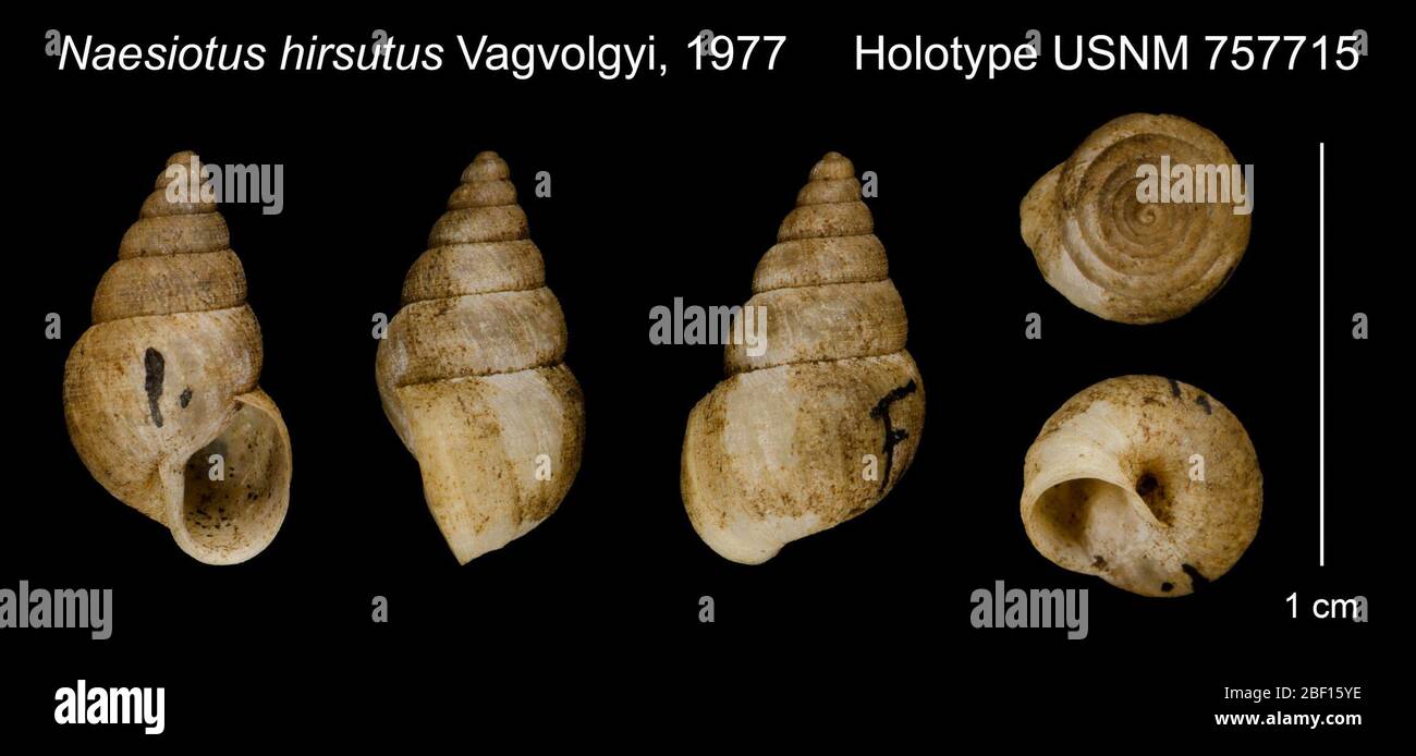 6 apr hi-res stock photography and images - Alamy