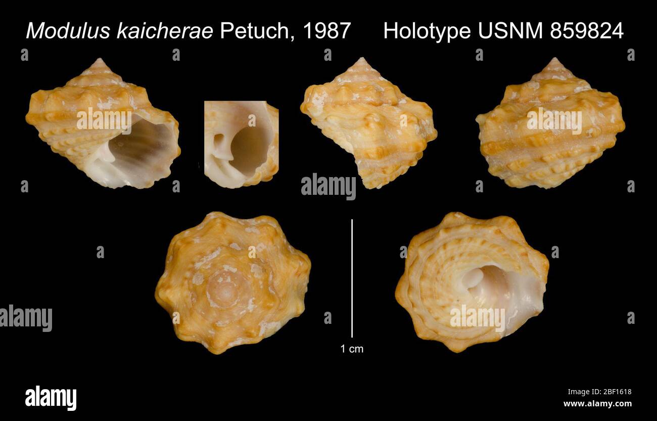Modulus hi-res stock photography and images - Alamy