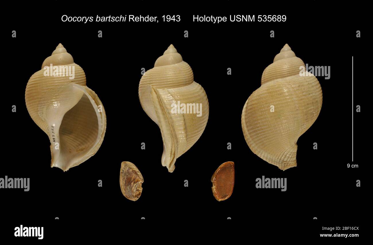 321 museum hi-res stock photography and images - Alamy