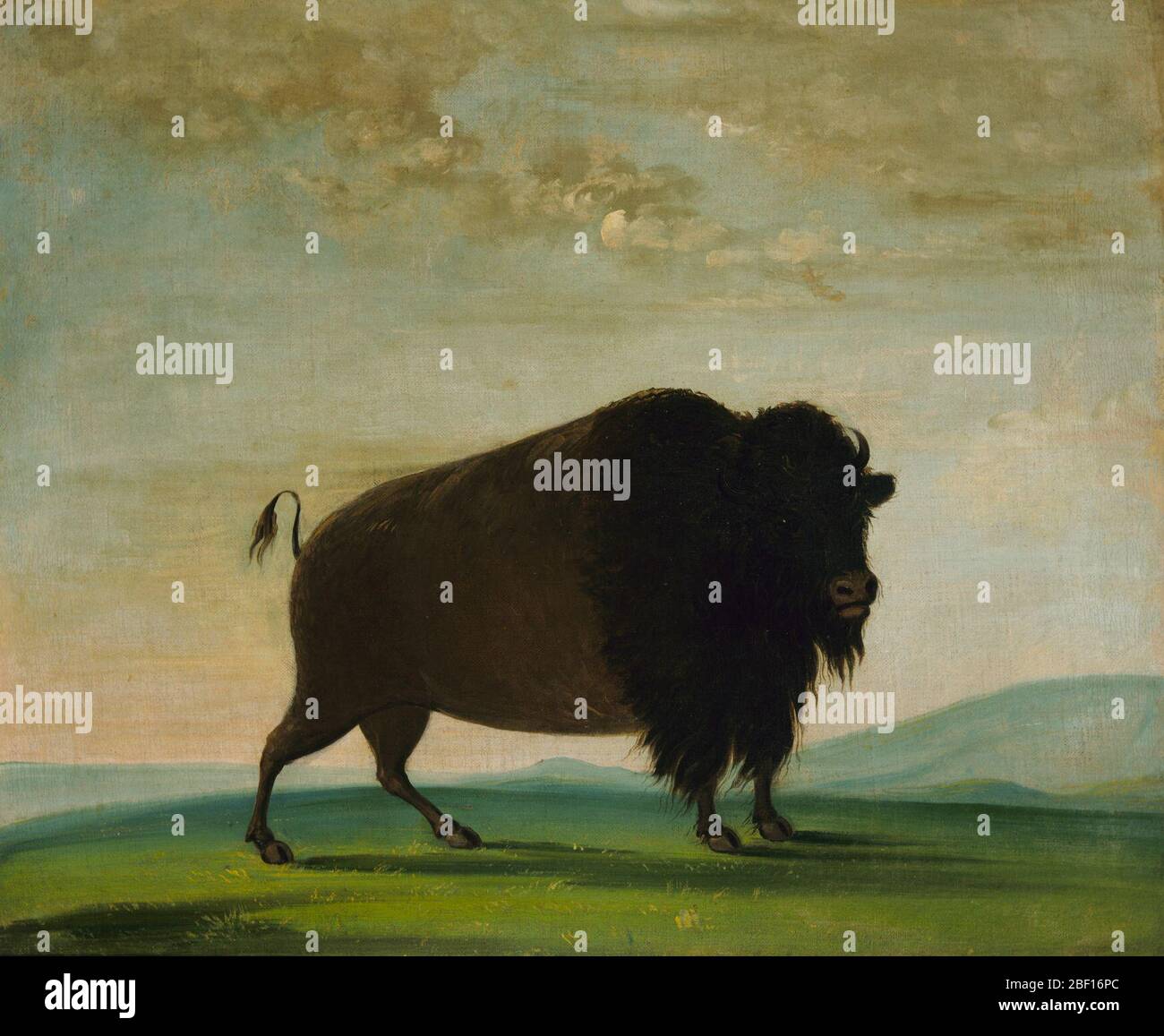 Prairie ecosystem diversity hi-res stock photography and images - Alamy